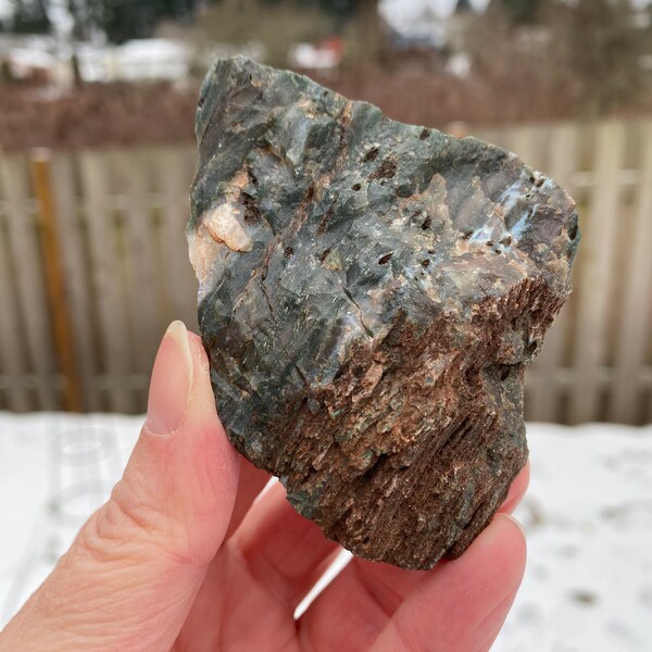 Green Petrified Wood - Etsy