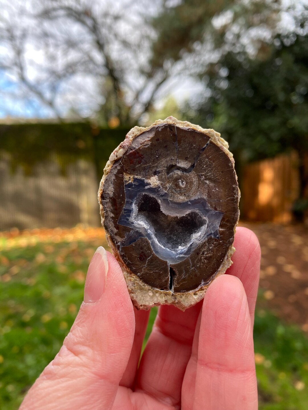 Polished Geode From Dugway, Utah, Agate, Druzy Quartz - Etsy