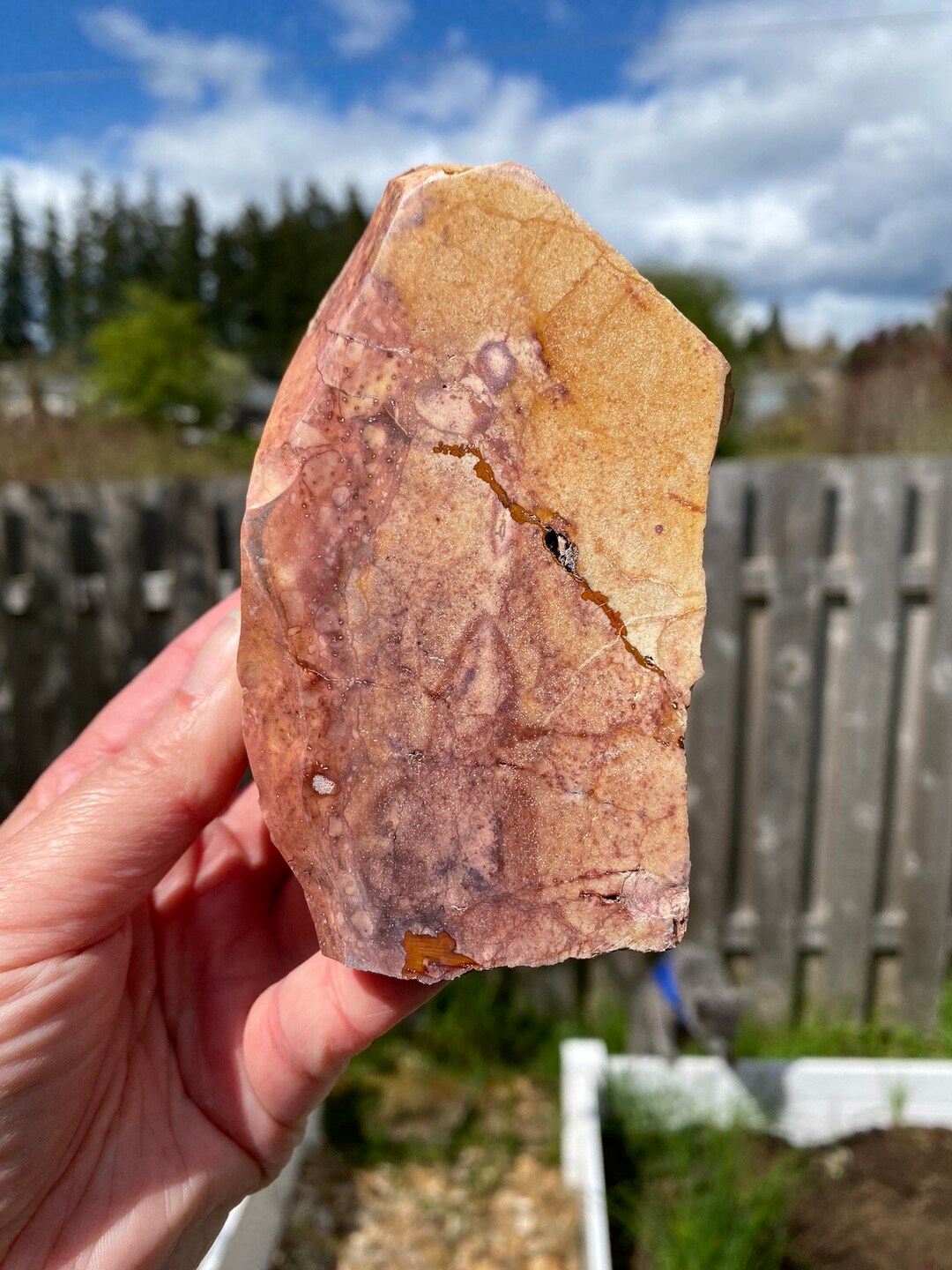Rocky Butte Owyhee Picture Jasper, Cut and Polished, Semi Precious ...