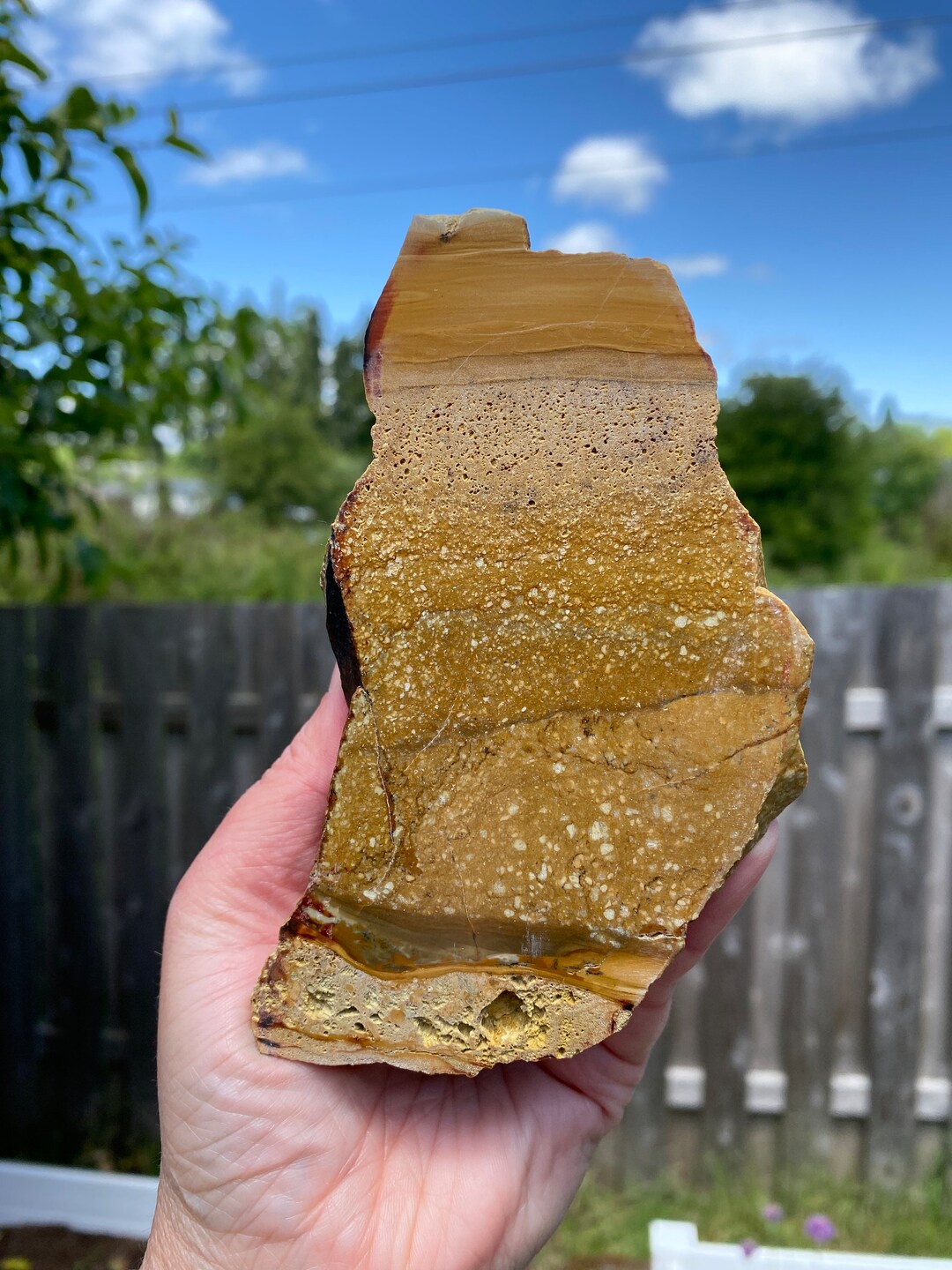 Owyhee Gem Jasper, Display Piece, Cut and Polished - Etsy