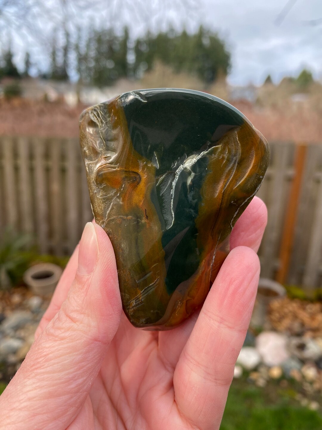 Rocky Butte Owyhee Picture Jasper, Fully Polished, Semi-precious ...