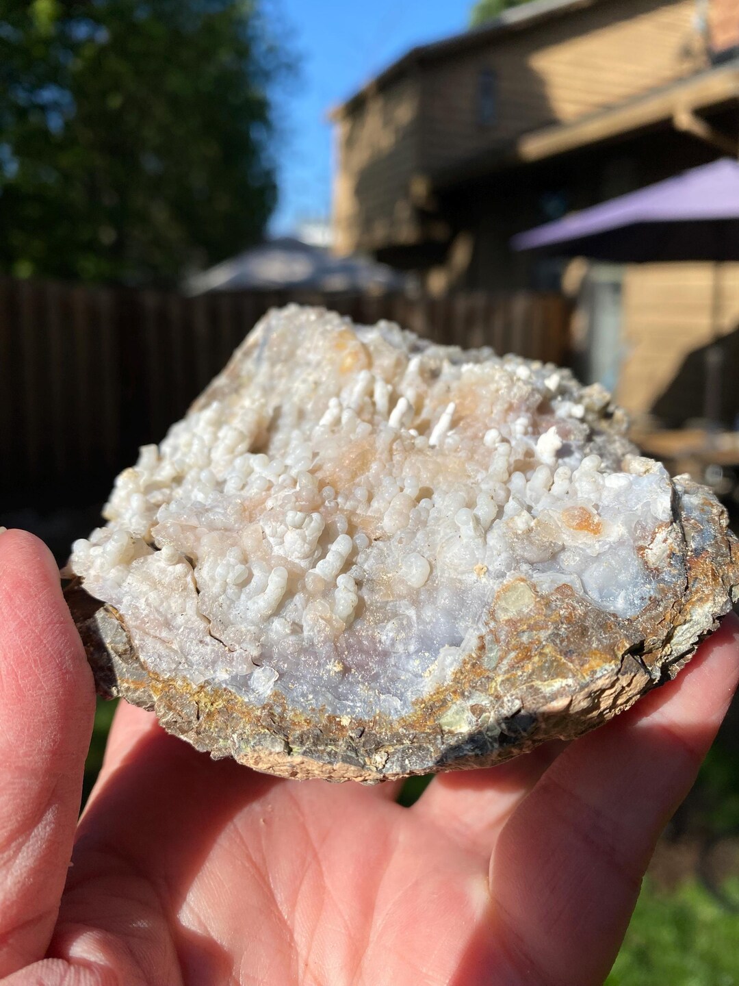 Canyon Rim Thunderegg, Agate, Stalactite Formations - Etsy