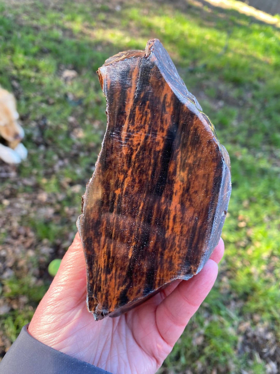 Glass Butte Mahogany Obsidian, Cut and Polished - Etsy