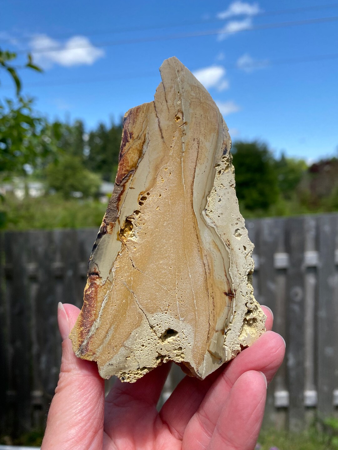Owyhee Gem Jasper, Display Piece, Cut and Polished - Etsy