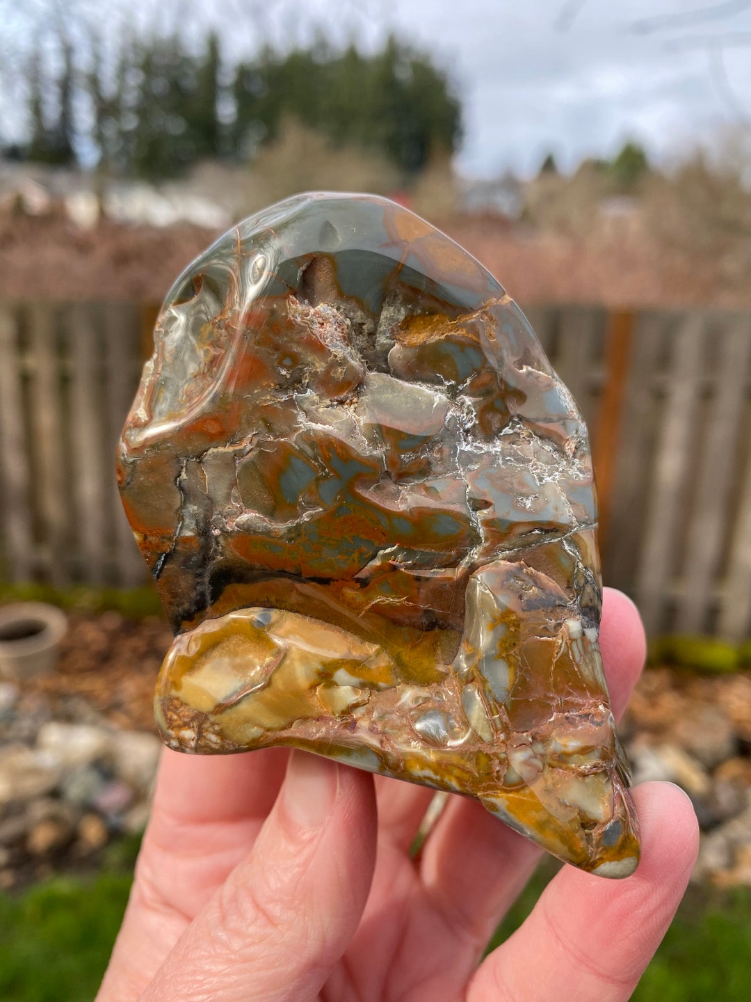 Rocky Butte Owyhee Picture Jasper, Fully Polished, Semi-precious ...