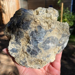 LARGE Amethyst Sage Agate Nodule, Cut and Polished Rock Display - Etsy