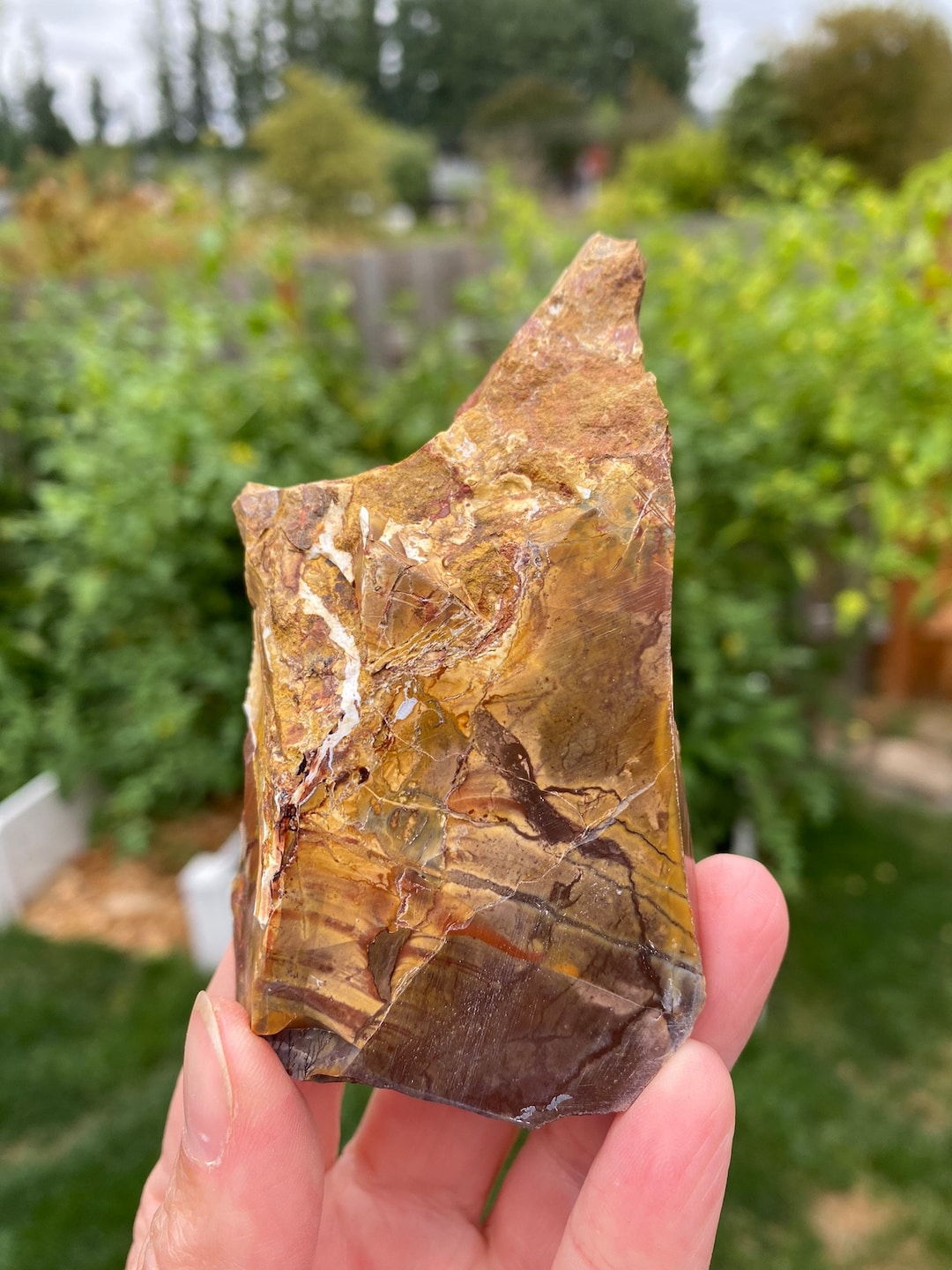 Brecciated, Multi-colored Jasper Cut, Polished - Etsy