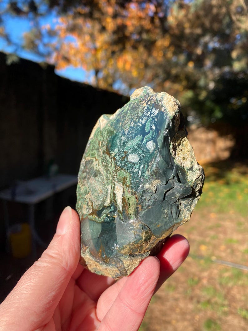 Gary Green Jasper, Cut and Polished Display - Etsy
