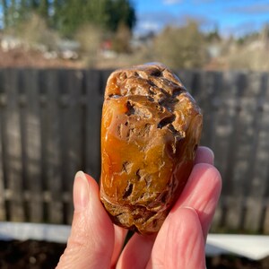 Golden Sard Agate Nodule, Fully Polished, Oregon - Etsy
