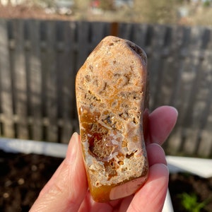 Golden Sard Agate Nodule, Fully Polished, Oregon - Etsy