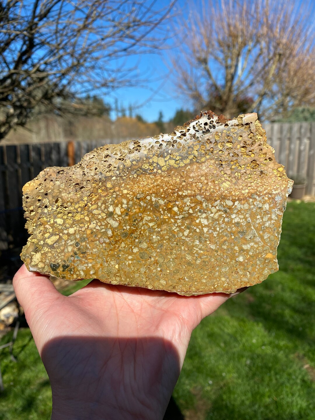 Large Owyhee Jasper, Display Piece, Cut and Polished - Etsy