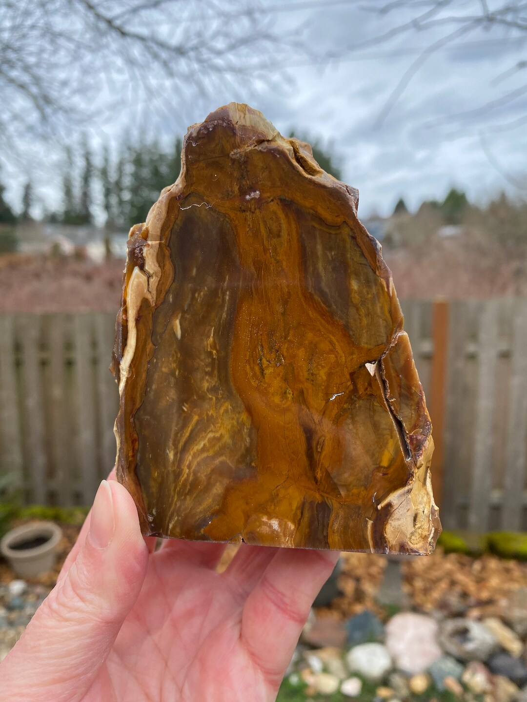 Biggs Picture Jasper Display Piece Cut and Polished, Semi Precious ...