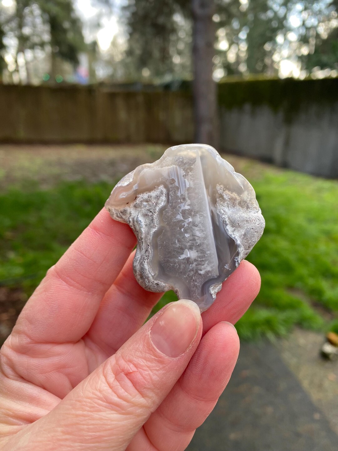 Dugway Geode, Cut and Fully Polished - Etsy