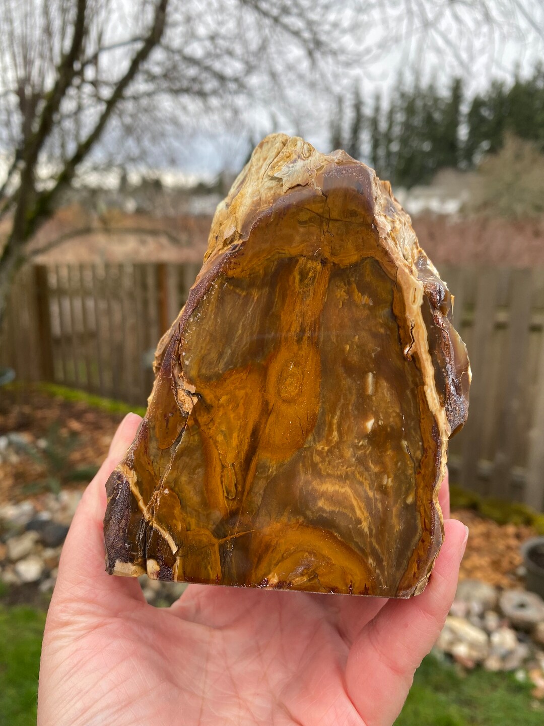 Large Biggs Picture Jasper Display Piece Cut and Polished, Semi ...
