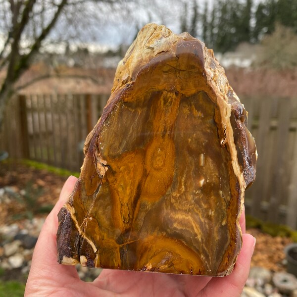 Picture Jasper - Etsy