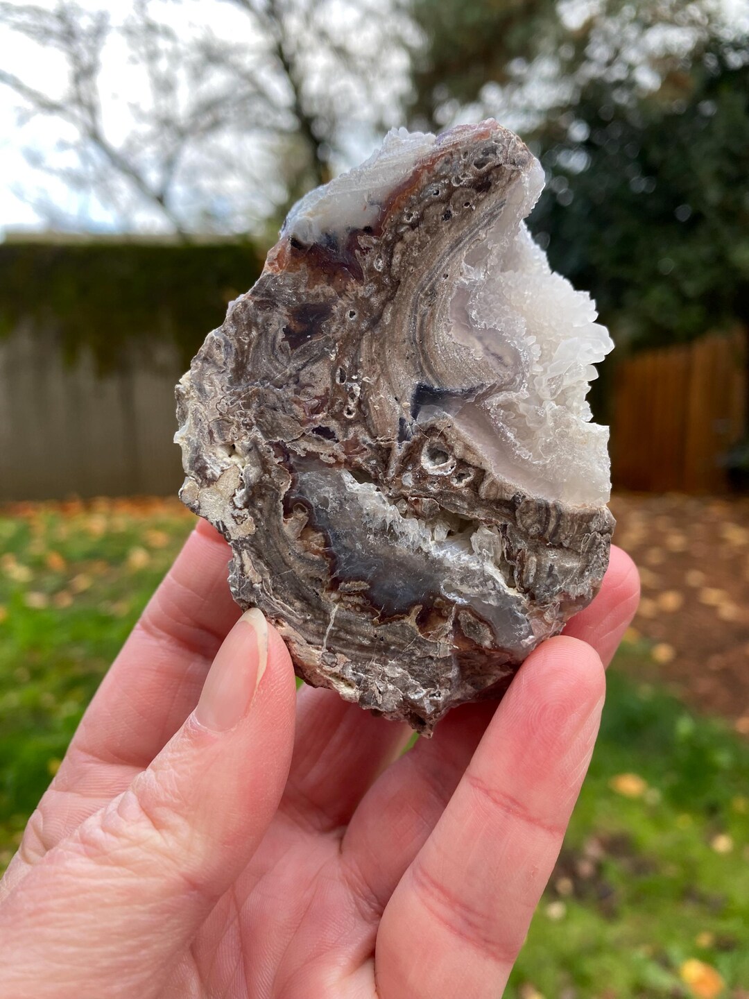 Polished Geode From Dugway, Utah, Agate, Druzy Quartz - Etsy
