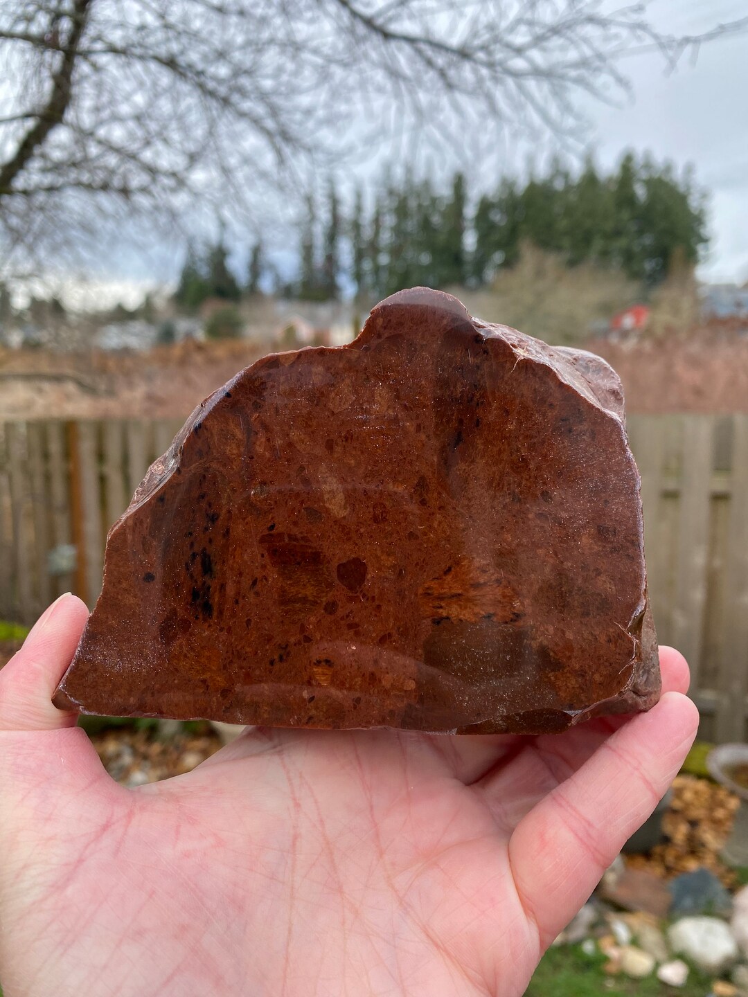 Glass Butte Red Mahogany Obsidian Cut And Polished Display Piece Etsy