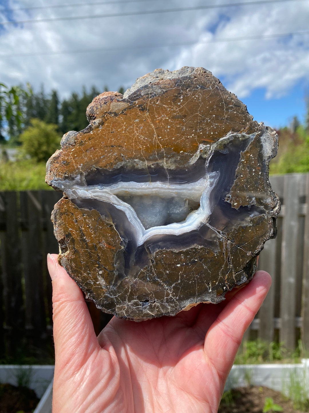 Canyon Rim Thunderegg, Agate, Cut and Polished - Etsy