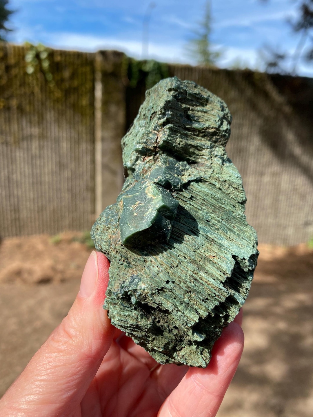 Rough Petrified Wood, Jasper, Unpolished and Uncut, Hampton Butte ...