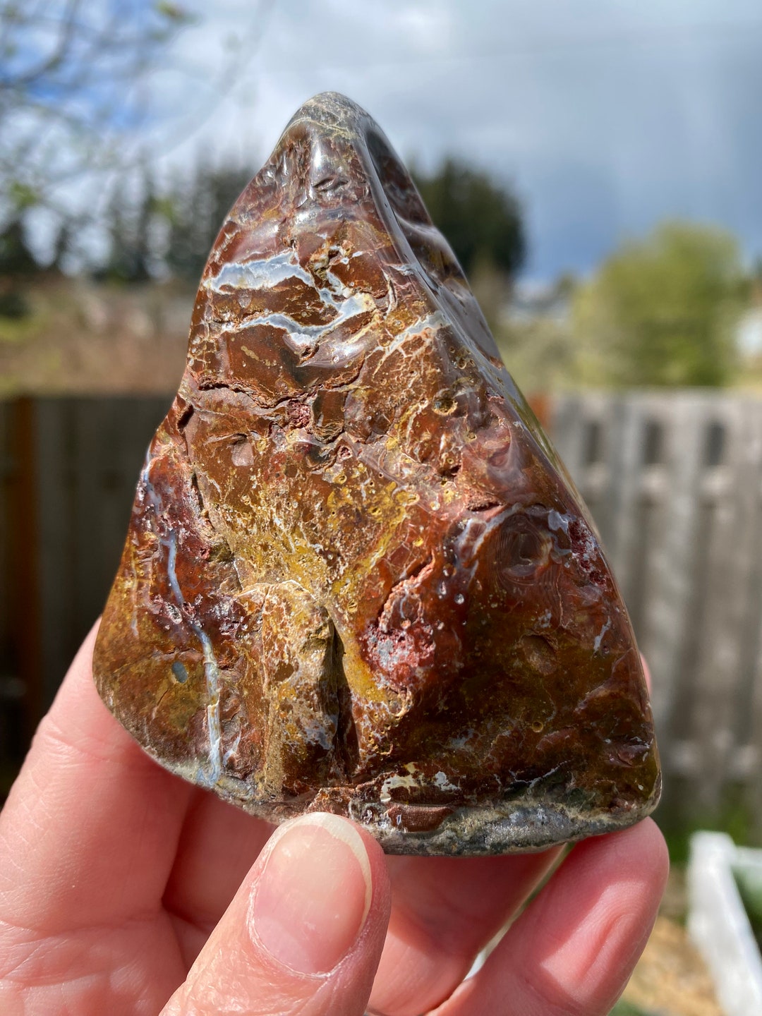 Multi-colored Jasper Nodule, Fully Polished, John Day River - Etsy