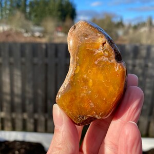 Golden Sard Agate Nodule, Fully Polished, Oregon - Etsy
