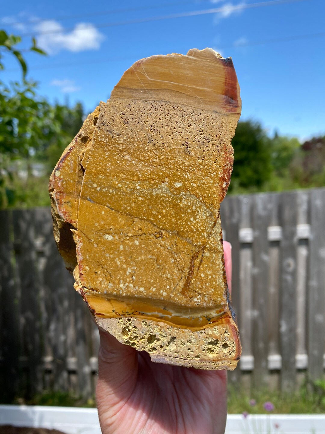 Owyhee Gem Jasper, Display Piece, Cut and Polished - Etsy
