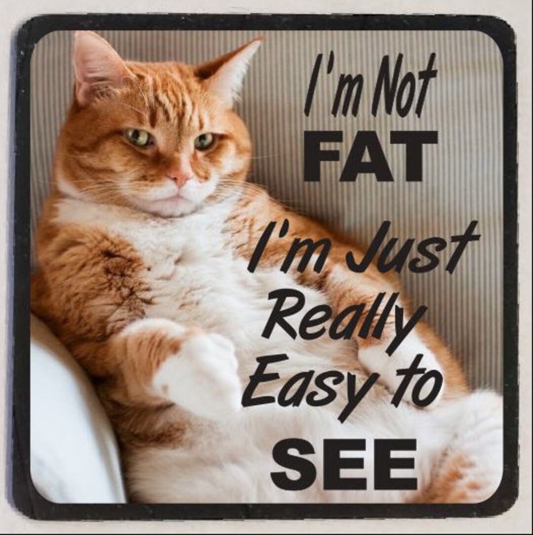 M15 Fat Cat Refrigerator Magnet - Etsy