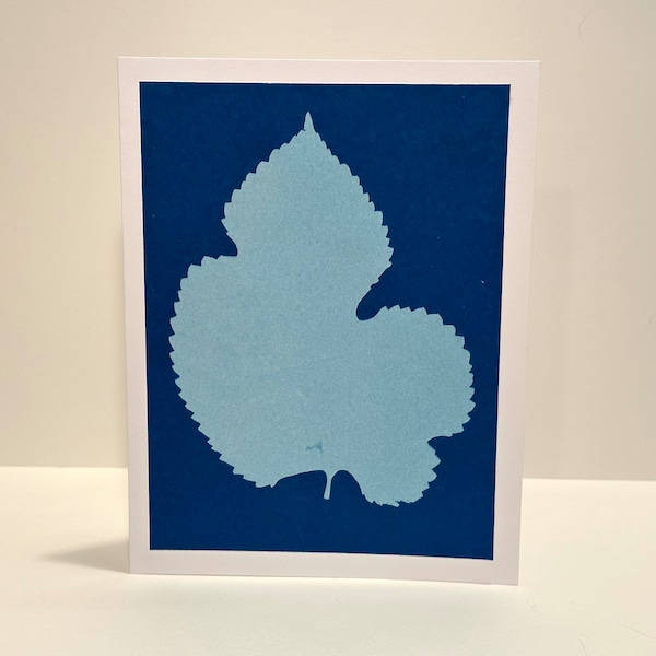 Cyanotype Print - Etsy
