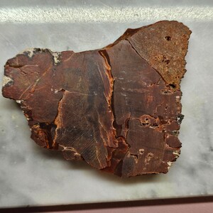 RED PETRIFIED WOOD, Fossilized Wood, Petrified Wood, Arizona Wood, Red ...