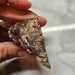 BIRDS EYE RHYOLITE, Cut and Sanded Stone, Minerals, Rhyolite Collectors ...