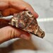BIRDS EYE RHYOLITE, Cut and Sanded Stone, Minerals, Rhyolite Collectors ...