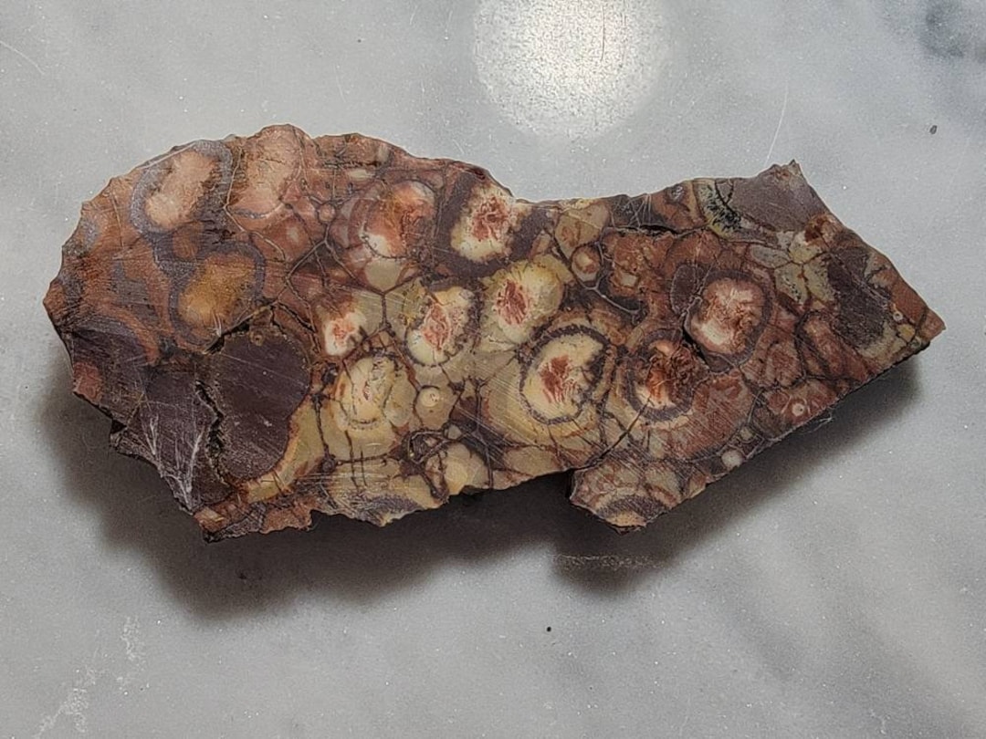 BIRDS EYE RHYOLITE, Cut and Sanded Stone, Minerals, Rhyolite Collectors ...