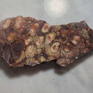 BIRDS EYE RHYOLITE, Cut and Sanded Stone, Minerals, Rhyolite Collectors ...