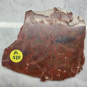 RED PETRIFIED WOOD, Fossilized Wood, Petrified Wood, Arizona Wood, Red ...