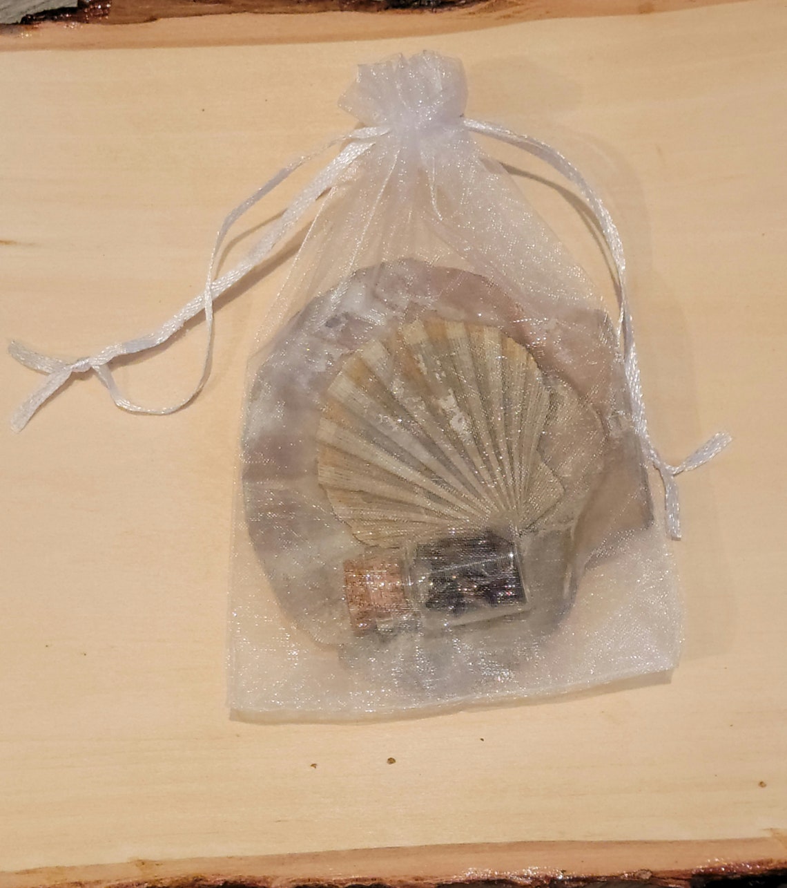 SHARK TEETH & SHELLS, 10 Fossilized Shark Teeth, 2 Fossilized Shell ...