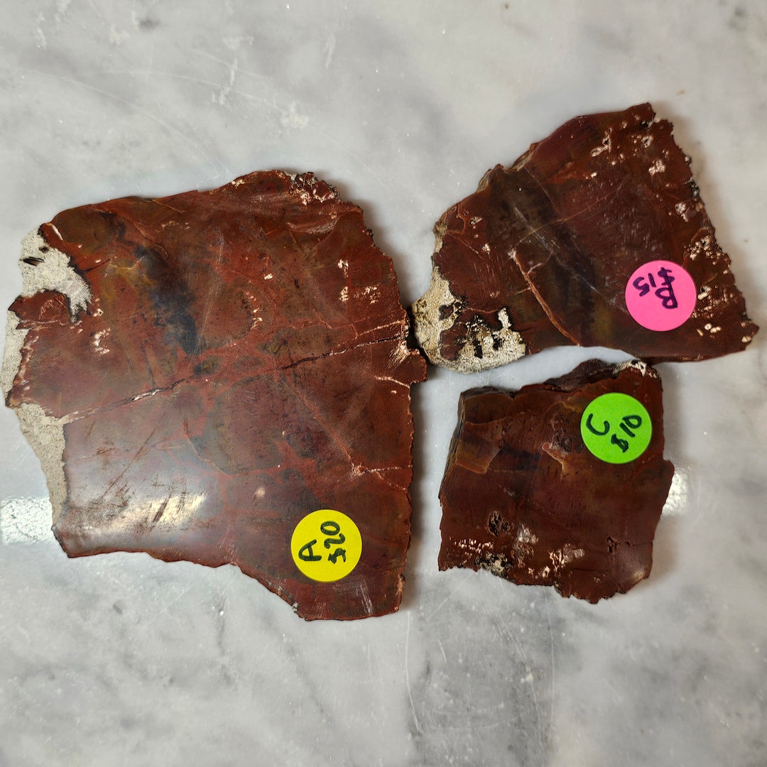 RED PETRIFIED WOOD, Fossilized Wood, Petrified Wood, Arizona Wood, Red ...