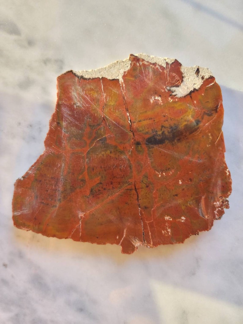RED PETRIFIED WOOD, Fossilized Wood, Petrified Wood, Arizona Wood, Red ...
