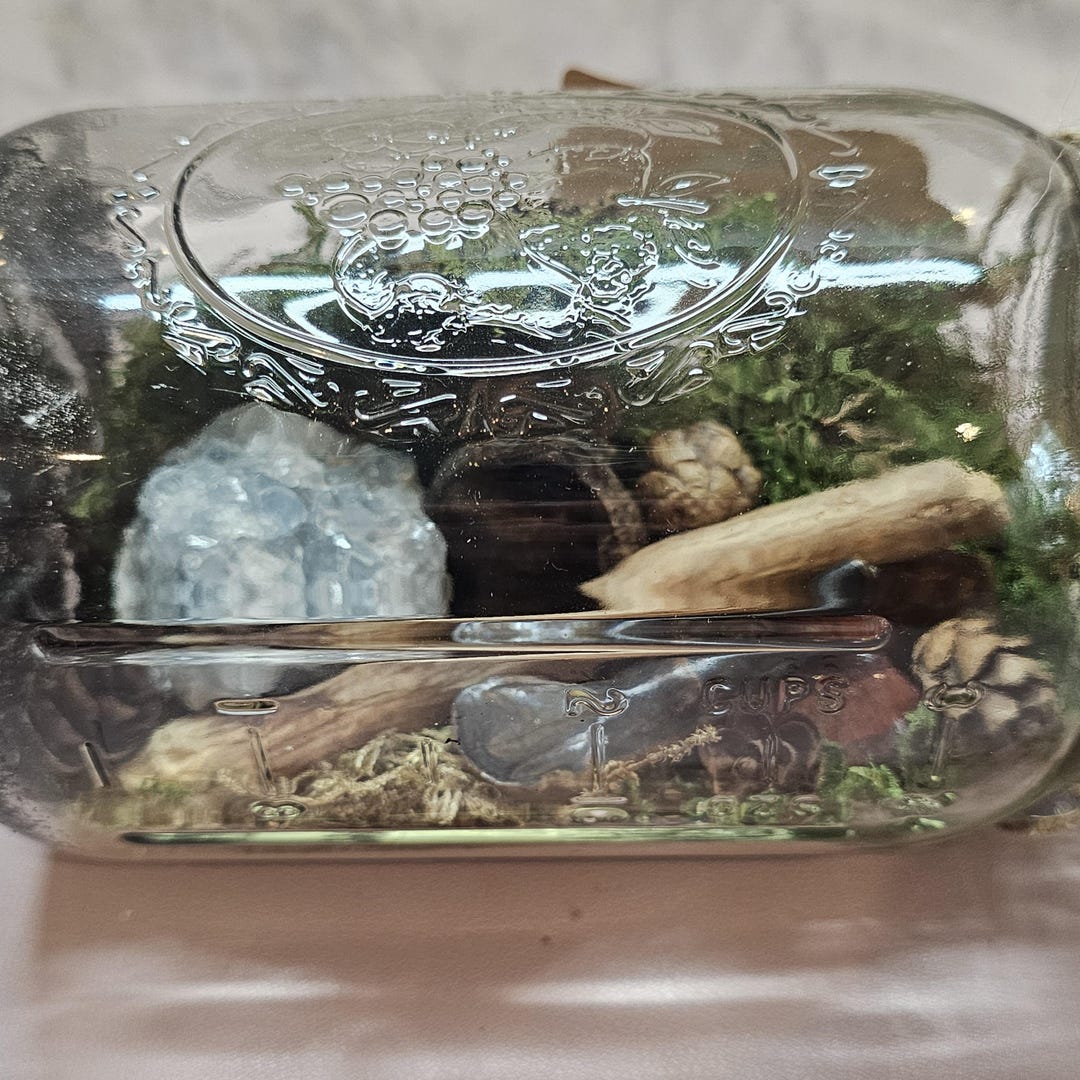 Oddity Jar, Bison Tooth, Petrified Wood, Stone Collection - Etsy
