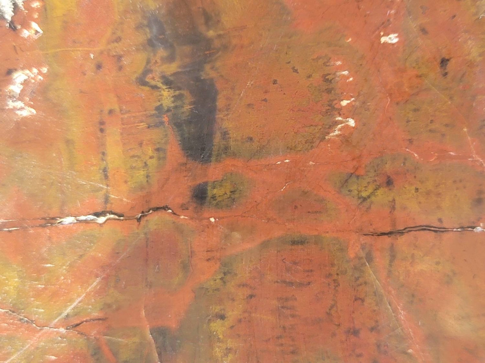 RED PETRIFIED WOOD, Fossilized Wood, Petrified Wood, Arizona Wood, Red ...