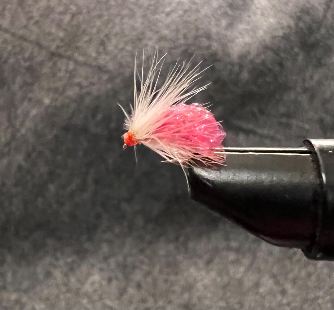 Half Dozen 6 Magenta Crystal Meth Egg Fly Fishing Flies Size - Etsy