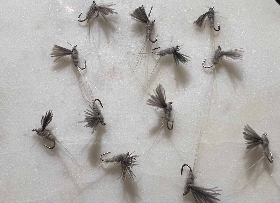 RS2 Gray Emerger Fly Fishing Flies Choose Size One Dozen 12 - Etsy