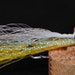 Saltwater Clouser Minnow Fly Fishing Flies Yellow Shimmer 3 Pack - Etsy