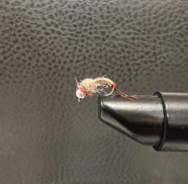 Rainbow Warrior Nymph Bead Head Fly Fishing Flies Choose Size One Dozen ...