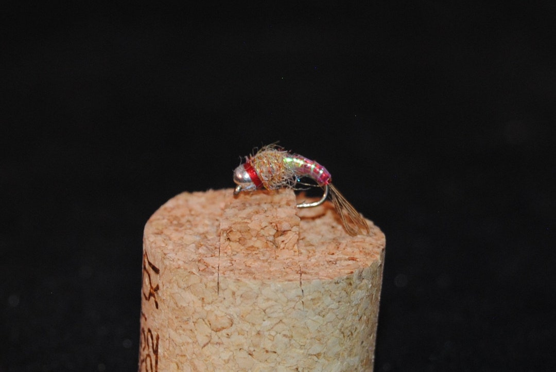 Rainbow Warrior Nymph Bead Head Fly Fishing Flies Choose Size One Dozen ...