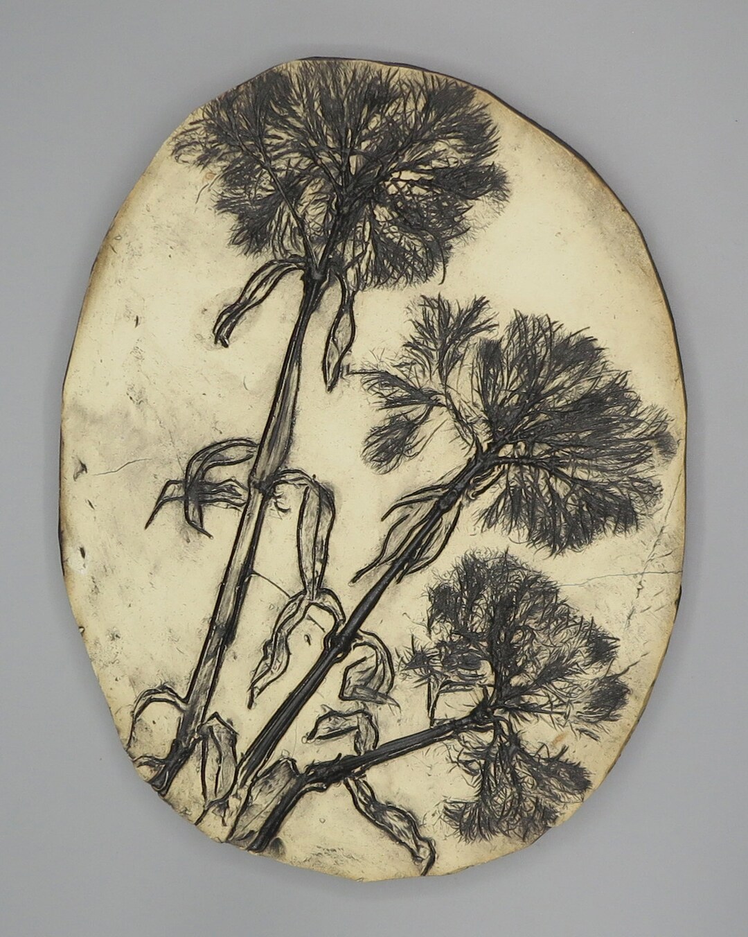 Sedum Flower Imprint Cast in Clay Contemporary Oval Wall Art - Etsy