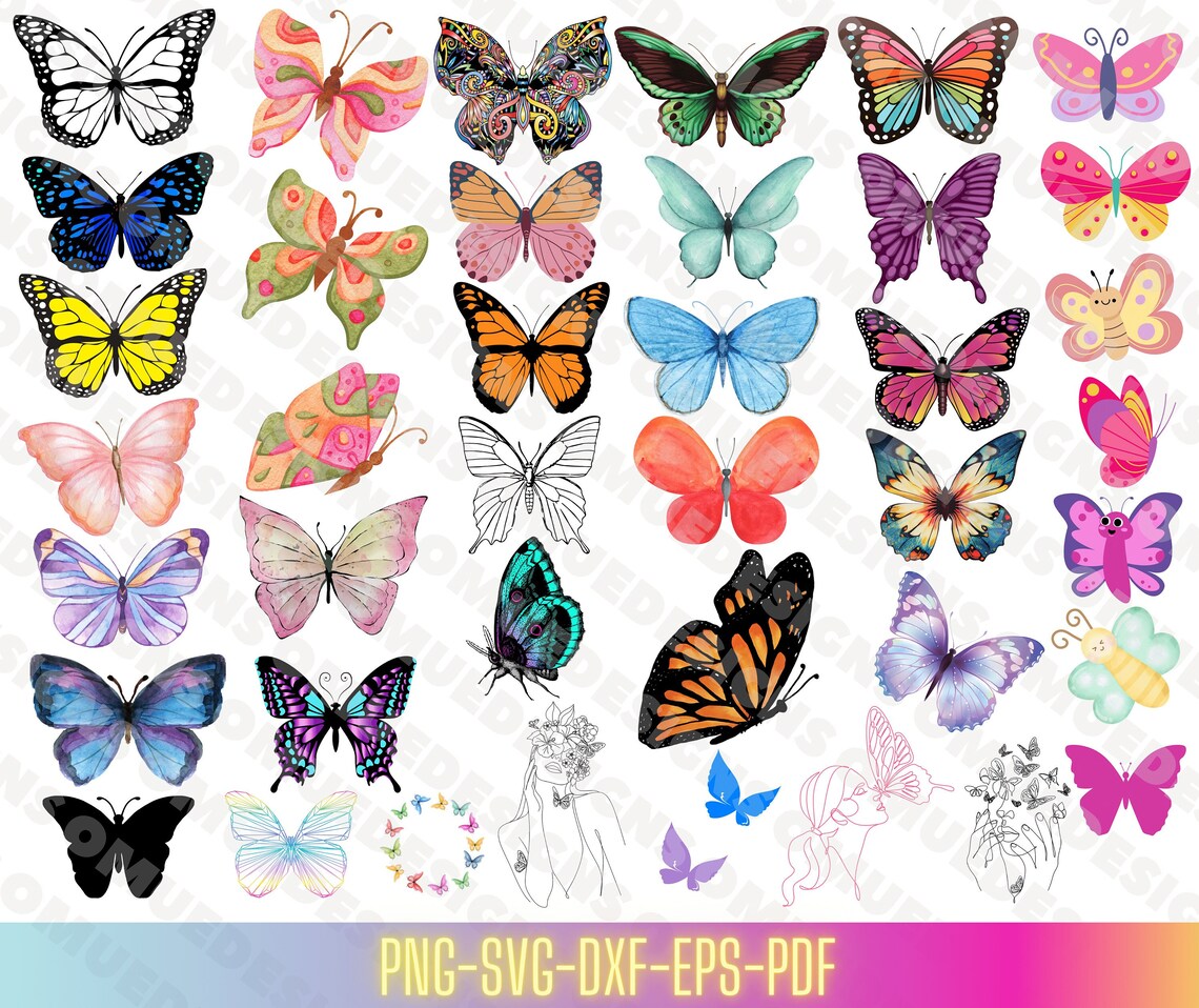 Butterfly Svg - Butterfly Svg Bundle - Cute Butterfly Svg - Digital ...