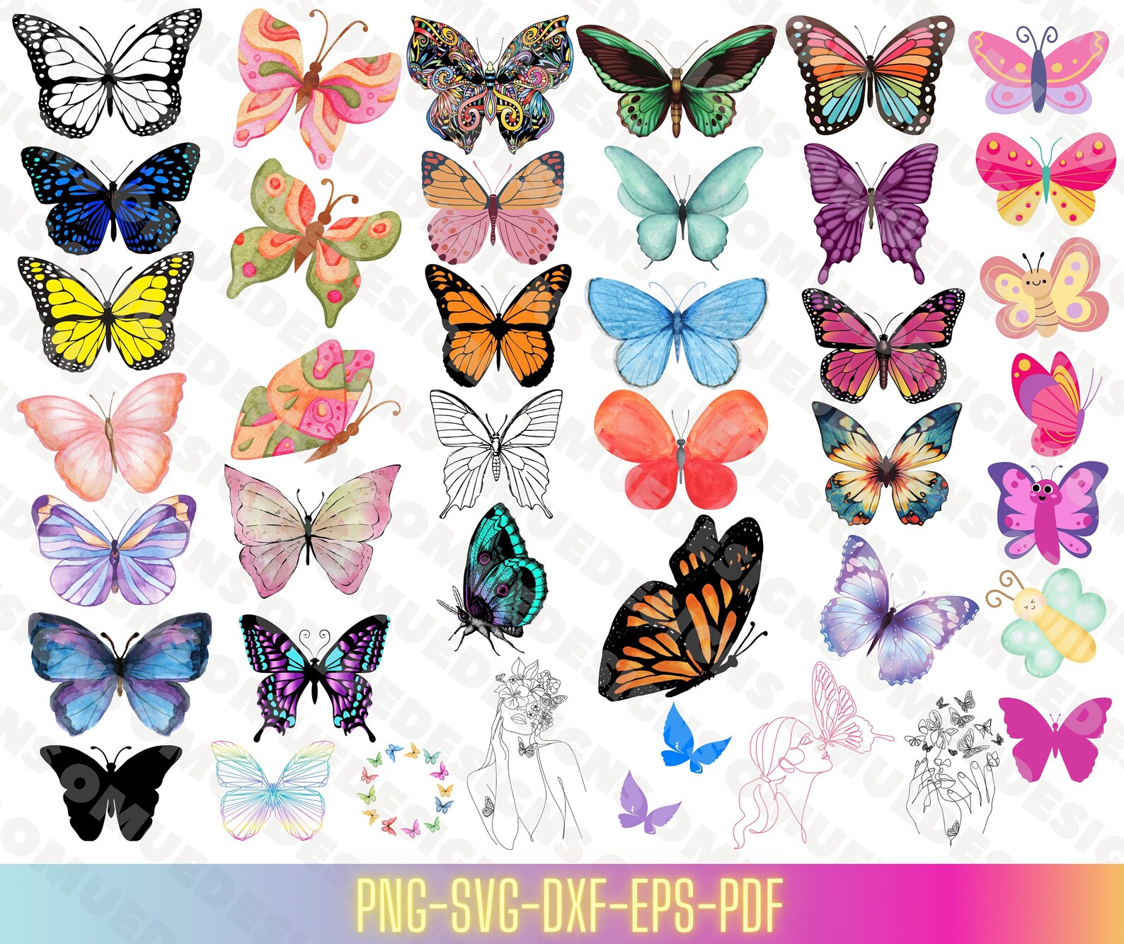 Butterfly Svg - Butterfly Svg Bundle - Cute Butterfly Svg - Digital ...