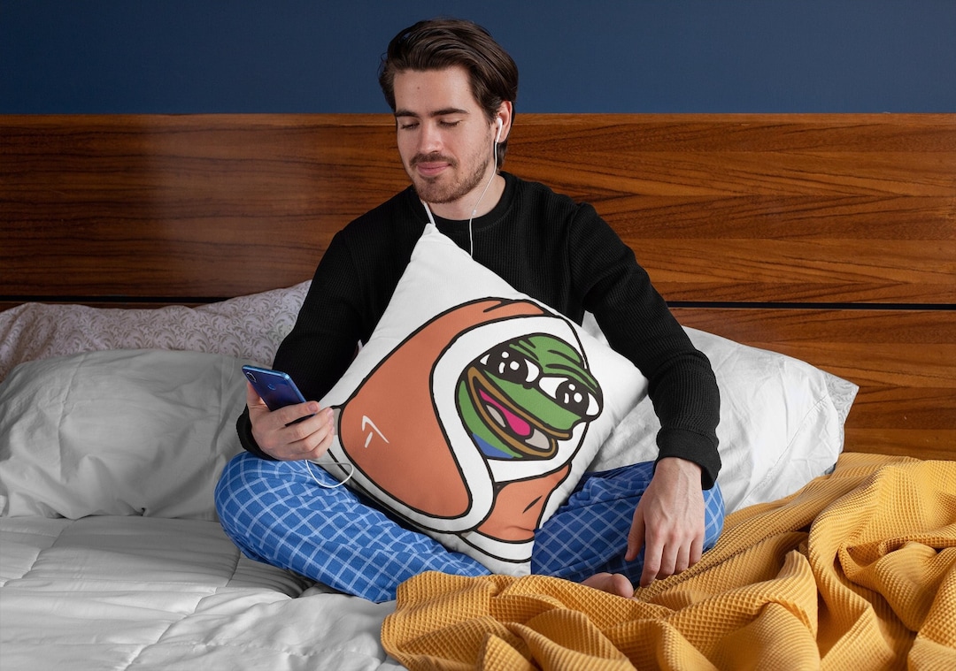 Pepe Cozy Blanket Meme Pillow Cover - 18x18 Inch Unique Meme Home Decor ...