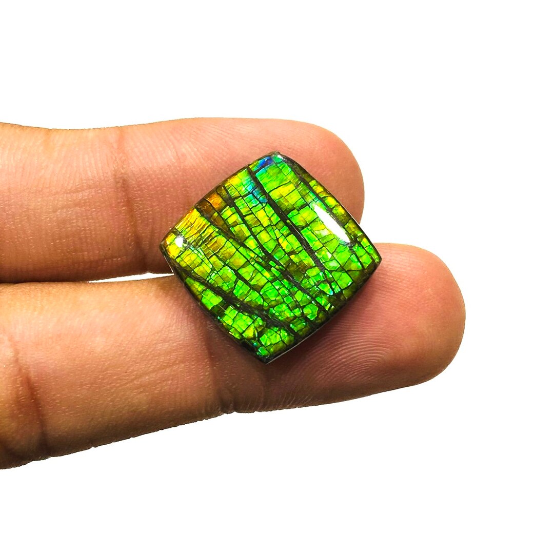 18mm Ammonite Stone | Ammolite Cabochon | Ammolite Green Cab | Natural ...