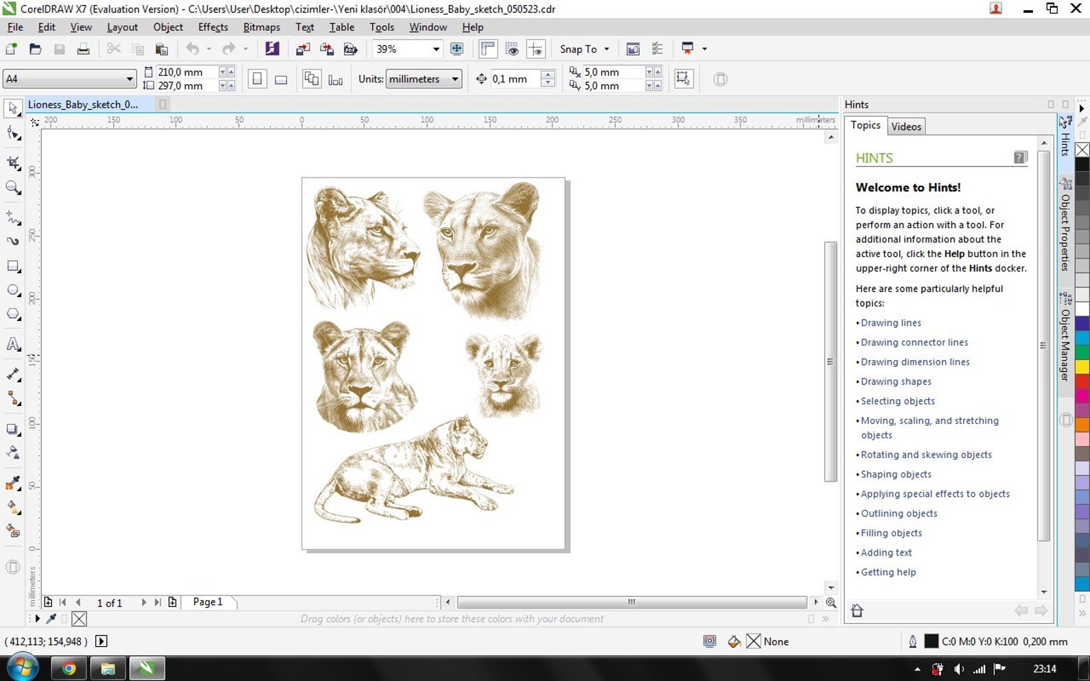 Digital Printer Lioness - 3D Liones Laser Templates, Files, Patterns ...